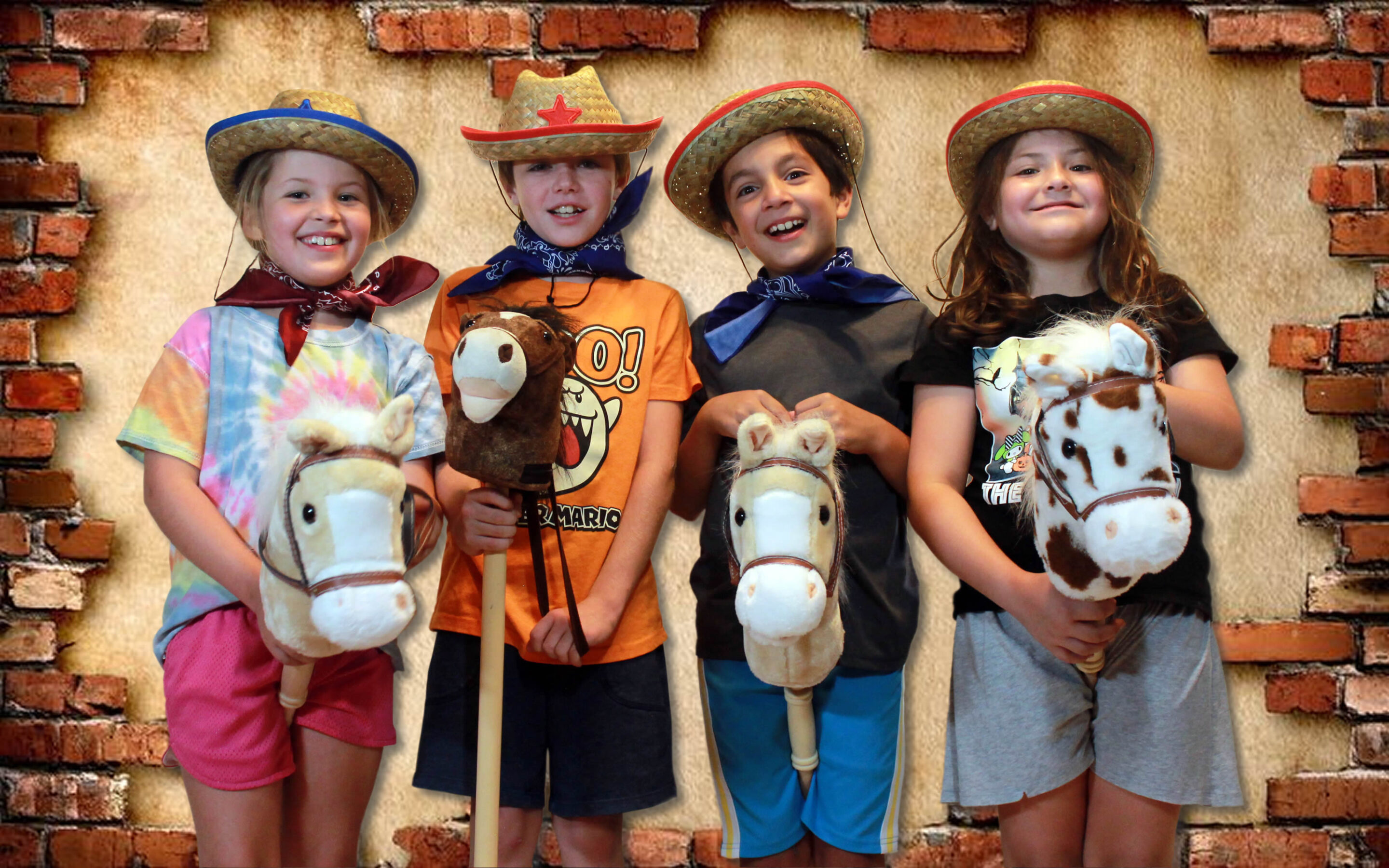 Program Lessons | Hobby Horsing USA